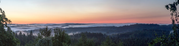 nature header - Holsby